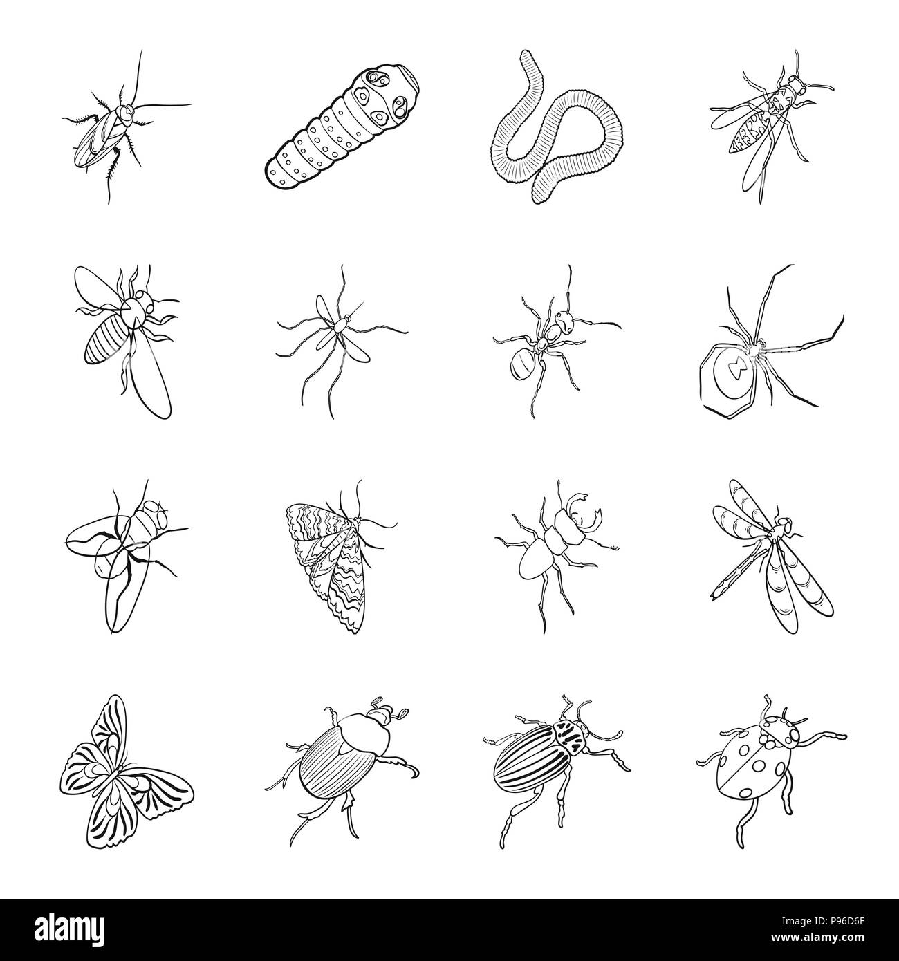 Different kinds of insects outline icons in set collection for design ...
