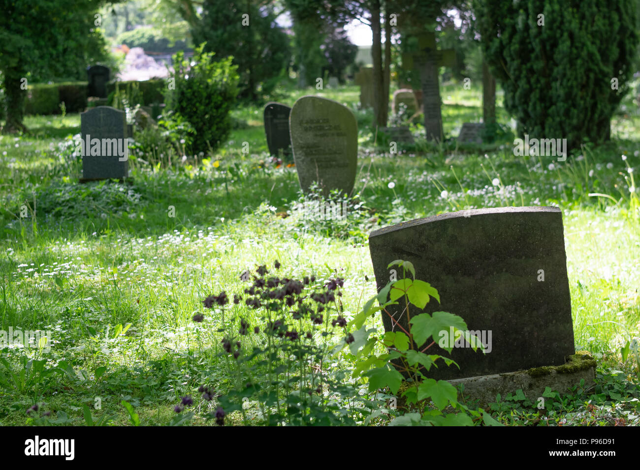 old gravestones in a woodland cemetery in Germany Stock Photo - Alamy
