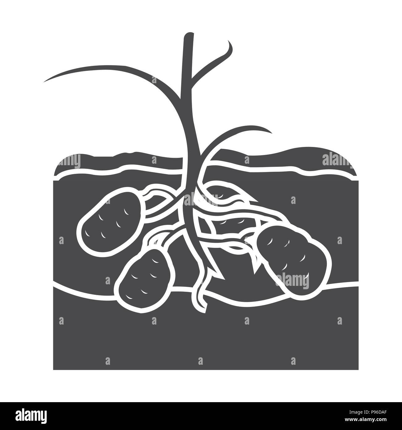 Potato icon in black style isolated on white background. Plant symbol ...