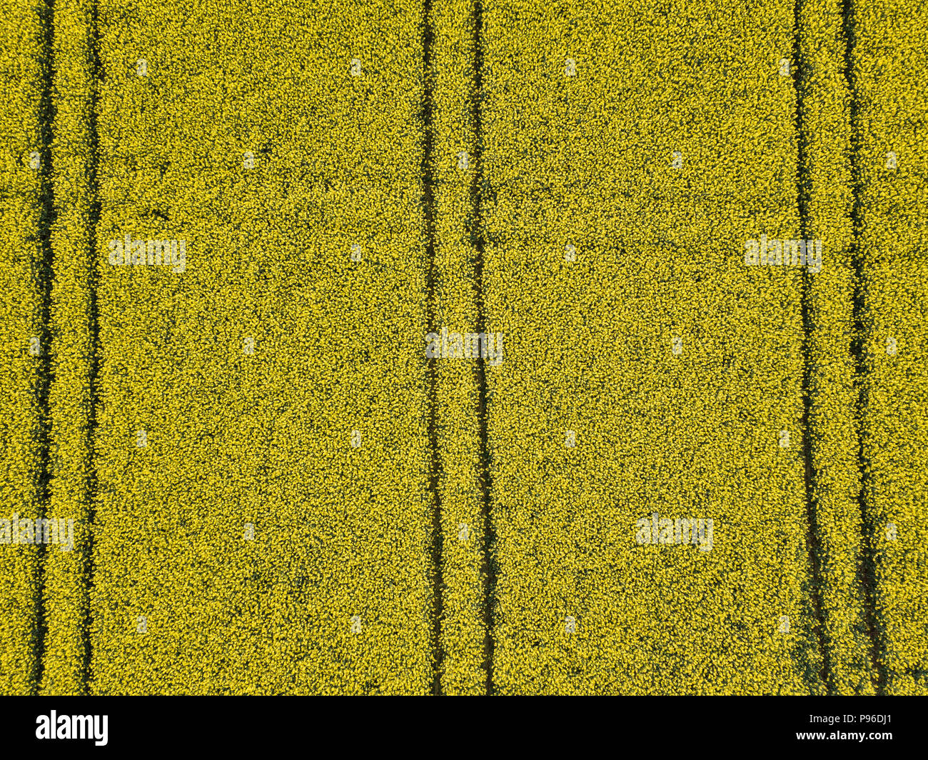 yellow grain field land from the air photographs Stock Photo - Alamy