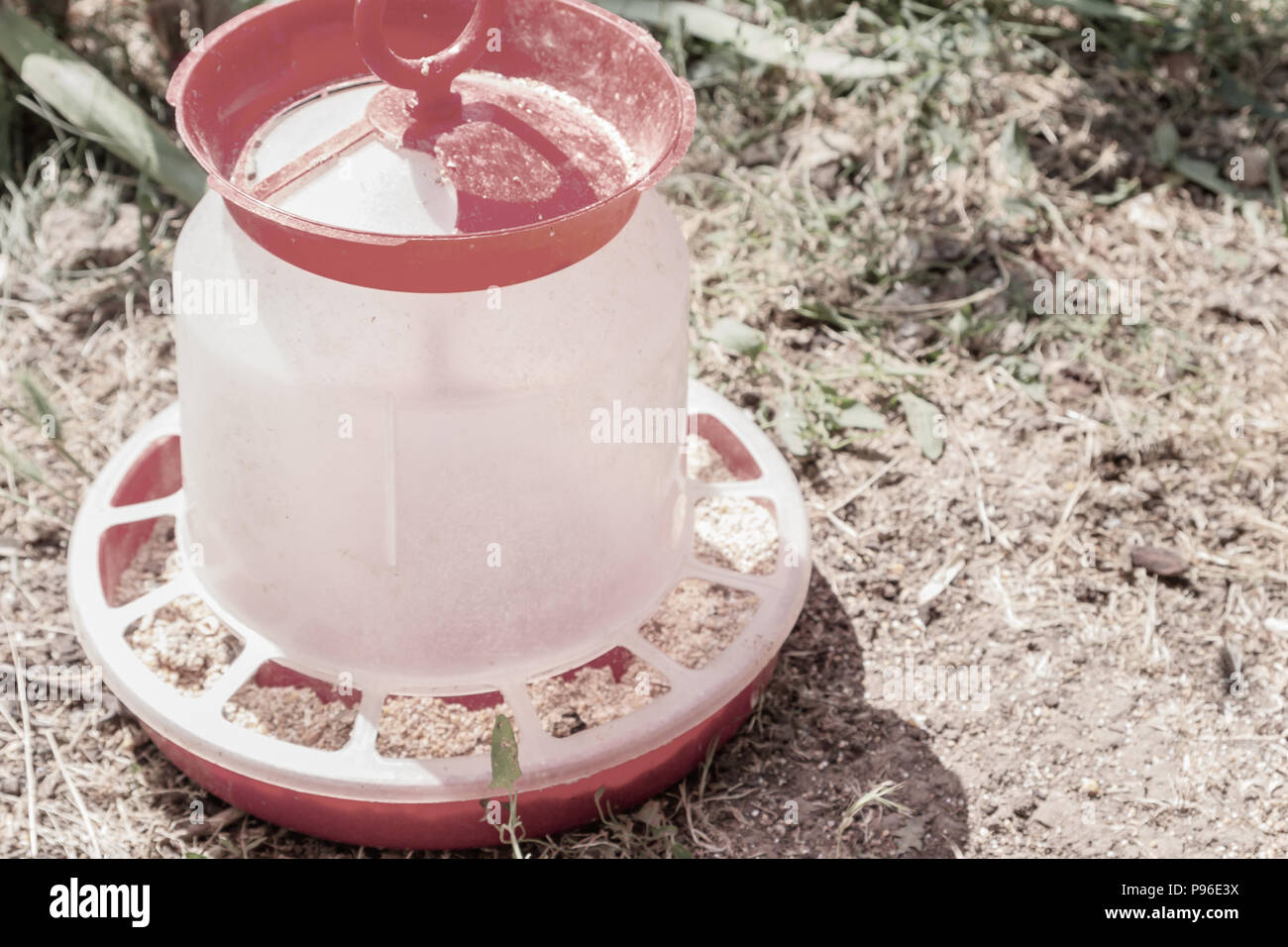 Plastic round feeder with grain for village birds Stock Photo - Alamy
