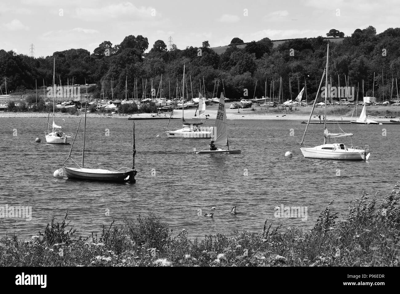 Serene landscape lake Black and White Stock Photos & Images - Alamy
