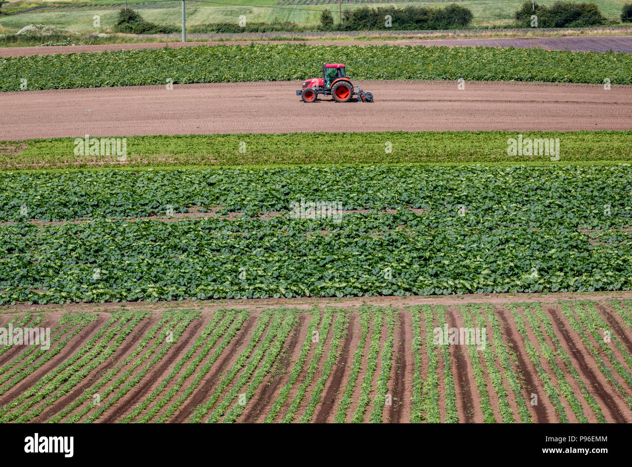 Farmer plows corn field hi-res stock photography and images - Alamy