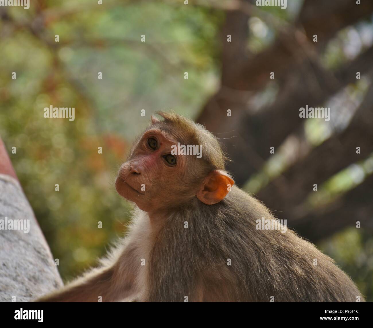 India tourist spots hi-res stock photography and images - Alamy