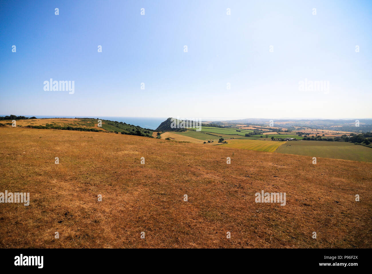 Devon hills landscape Stock Photo - Alamy