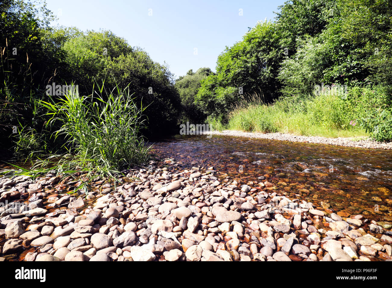 River Otter in Devon Stock Photo - Alamy