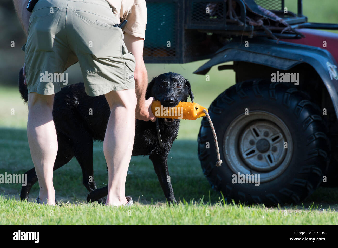 Training dummy black hi-res stock photography and images - Alamy