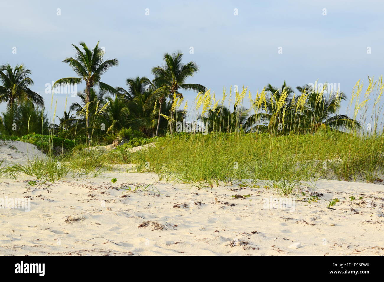 Treasure cay the bahamas hi-res stock photography and images - Alamy
