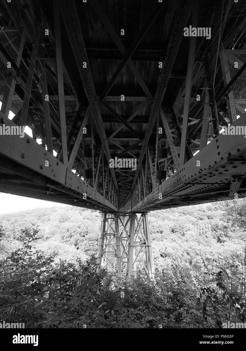 Looking underneath the Victorian wrought iron Meldon Viaduct, disused ...