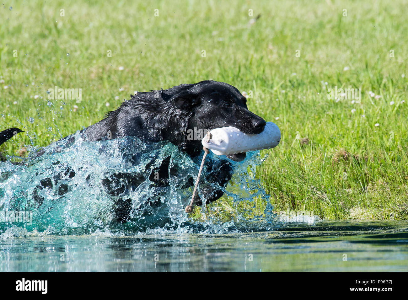 Training dummy black hi-res stock photography and images - Alamy