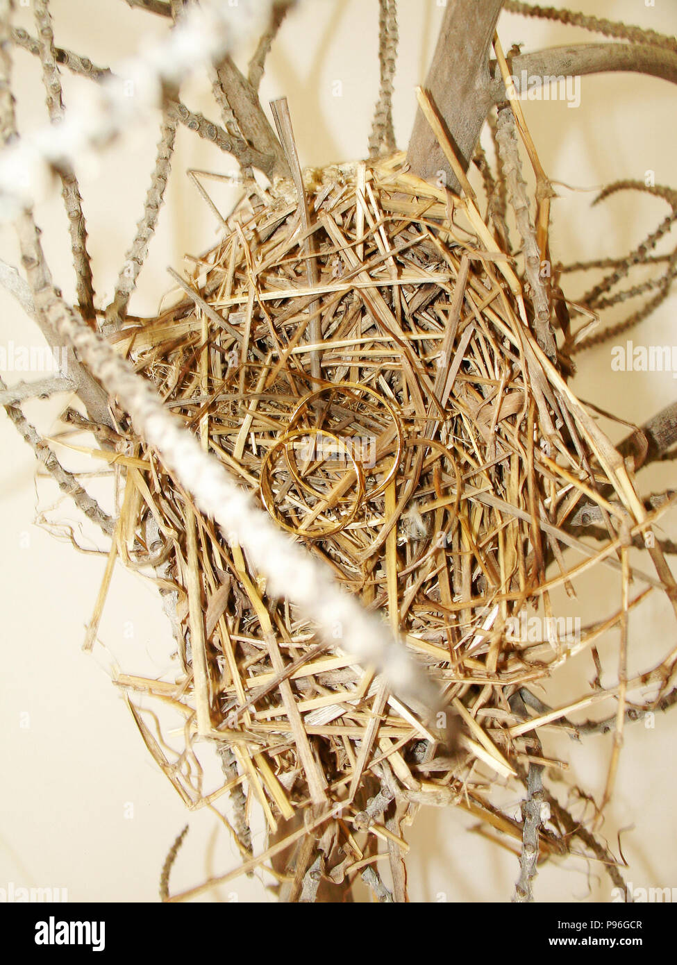 Nest, rings, São Paulo, Brazil Stock Photo - Alamy