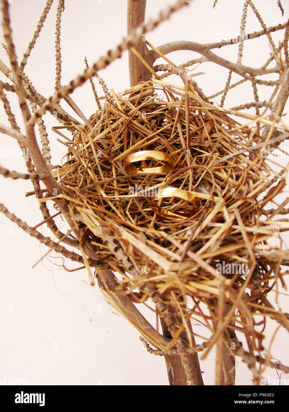 Nest, rings, São Paulo, Brazil Stock Photo - Alamy
