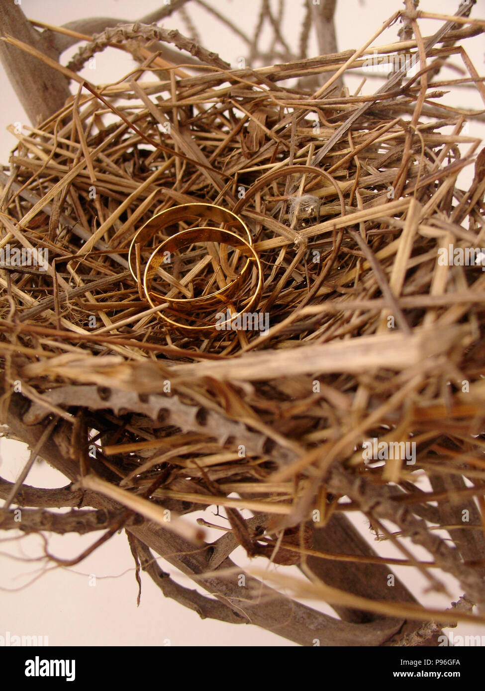 Nest, rings, São Paulo, Brazil Stock Photo - Alamy