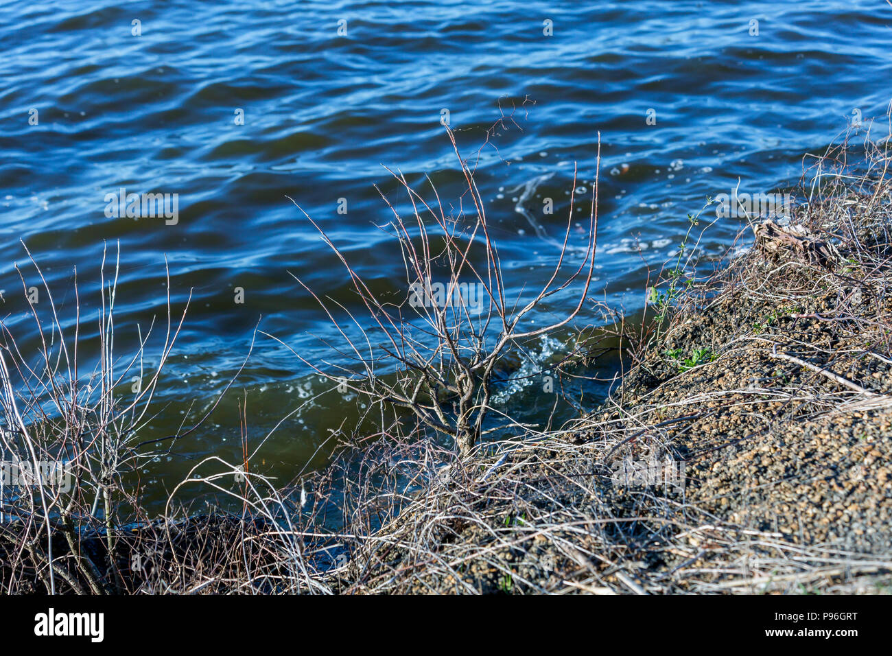 Rolling waves at the edge of a lake Stock Photo - Alamy