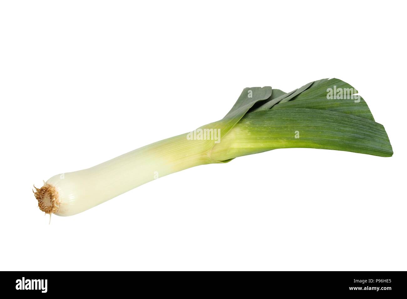 Leek isolated on white background Stock Photo - Alamy
