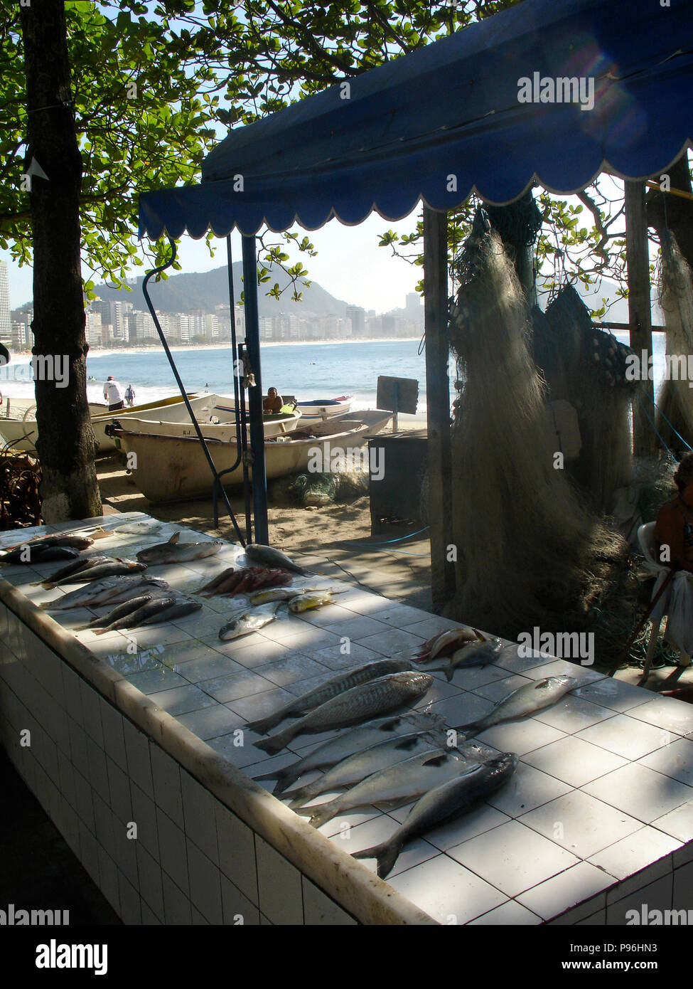 Fish, Copacabana beach, Rio de Janeiro, Brazil Stock Photo - Alamy