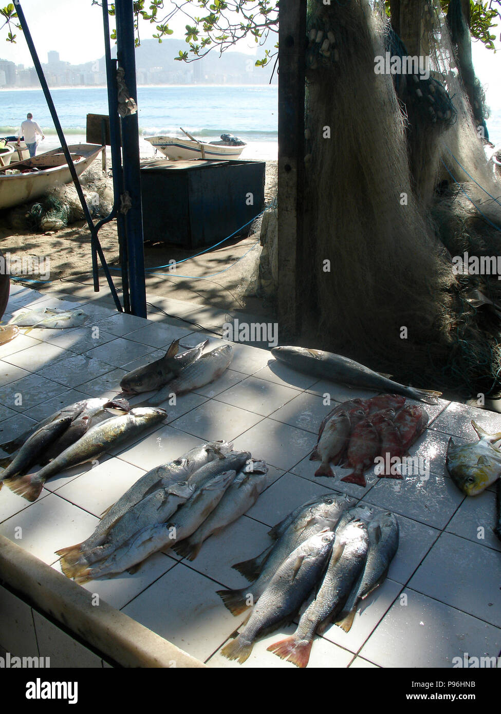 Fish, Copacabana beach, Rio de Janeiro, Brazil Stock Photo - Alamy