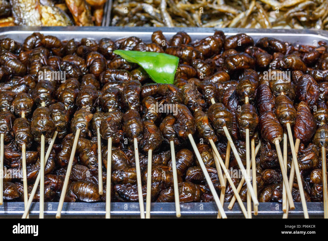 Fried insects in the tray on the counter of the Chinese market. Exotic ...