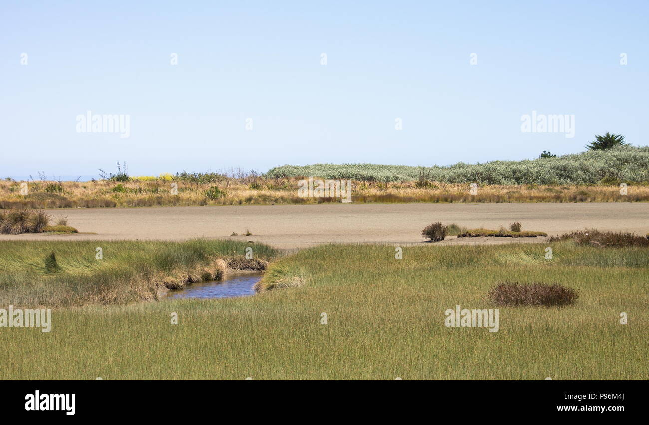Landscape view of the Manawatu Estuary wetlands and vegetation. The ...
