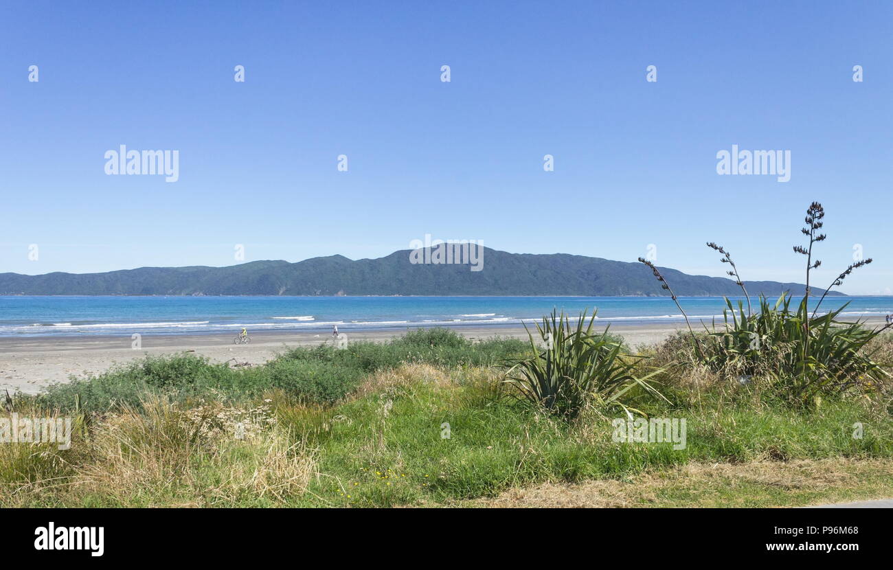 Kapiti island hi-res stock photography and images - Alamy
