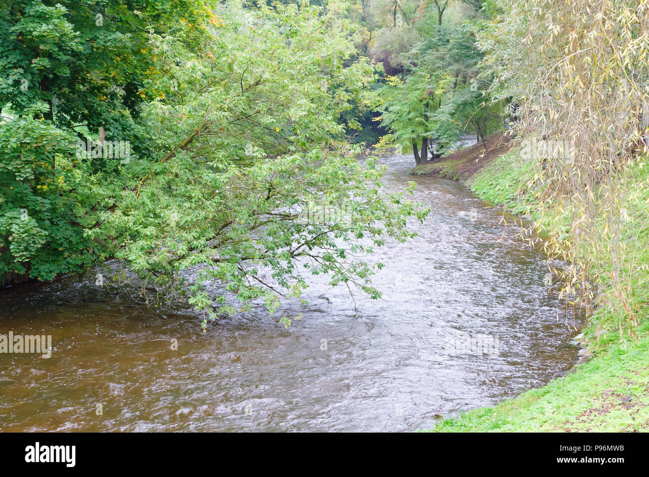 River flows among trees hi-res stock photography and images - Alamy