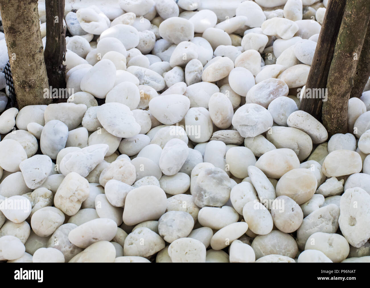 White pebble stone on the home garden near the tree stub Stock Photo ...