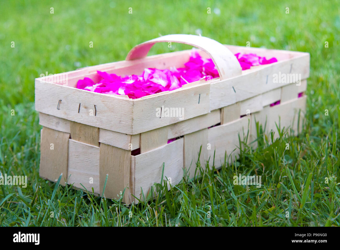 Willow leaf tea hi-res stock photography and images - Alamy