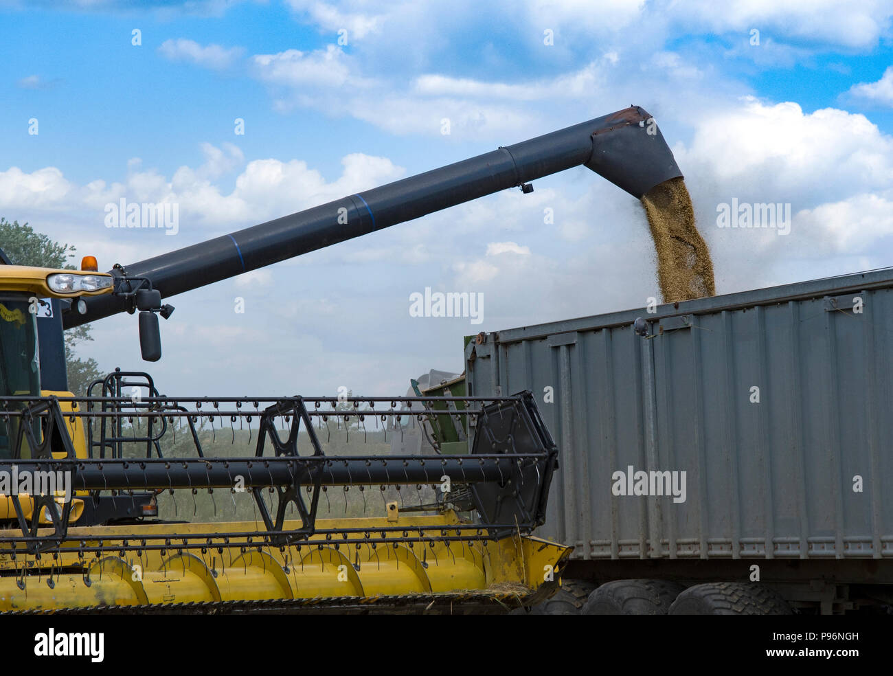 Grain field after harvesting hi-res stock photography and images - Alamy