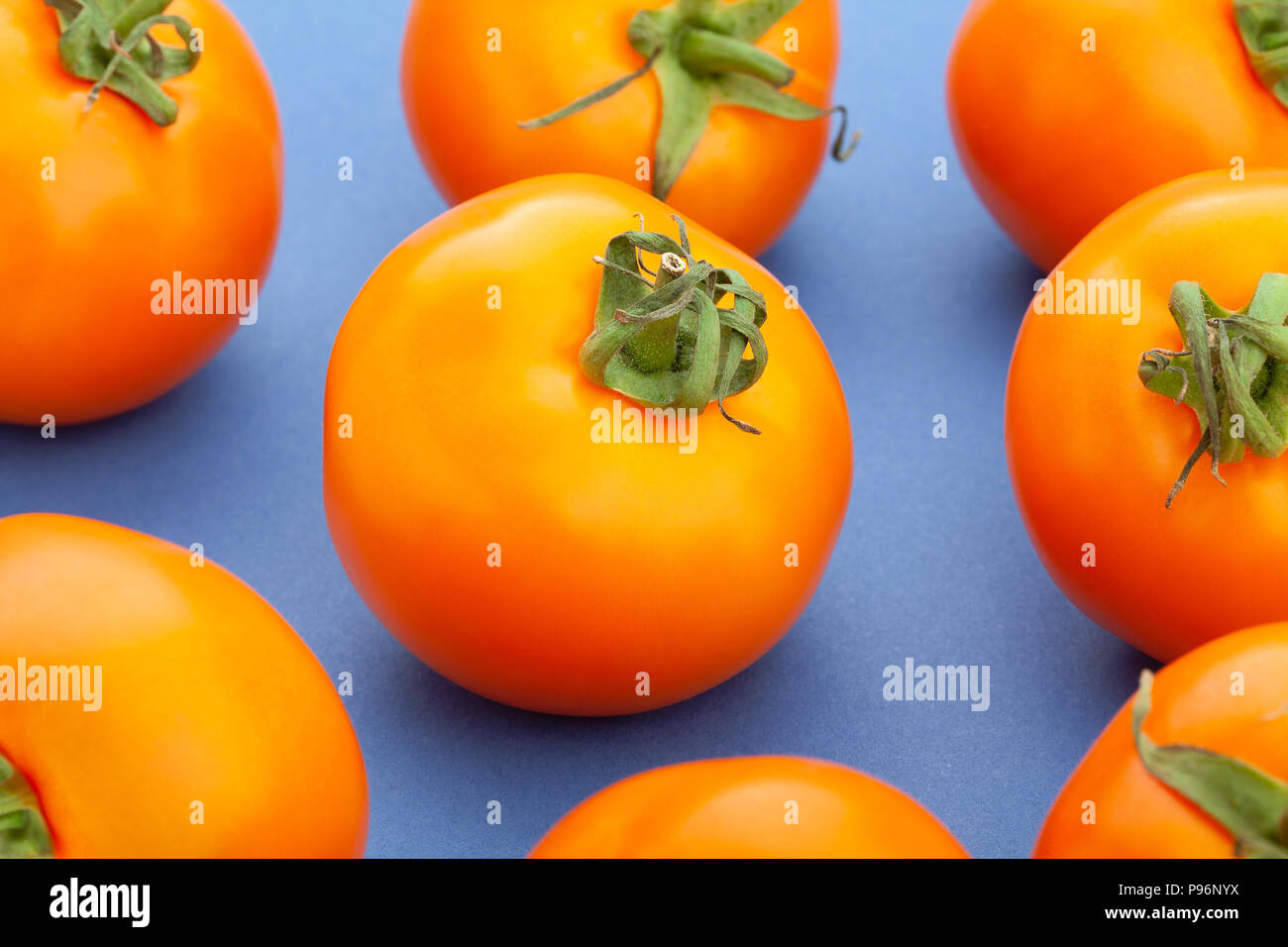Blue tomato hi-res stock photography and images - Alamy