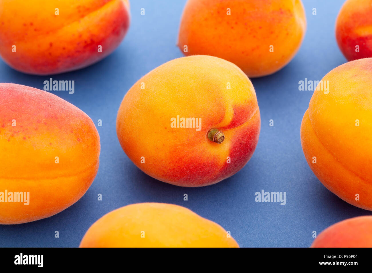 apricot on blue background Stock Photo - Alamy