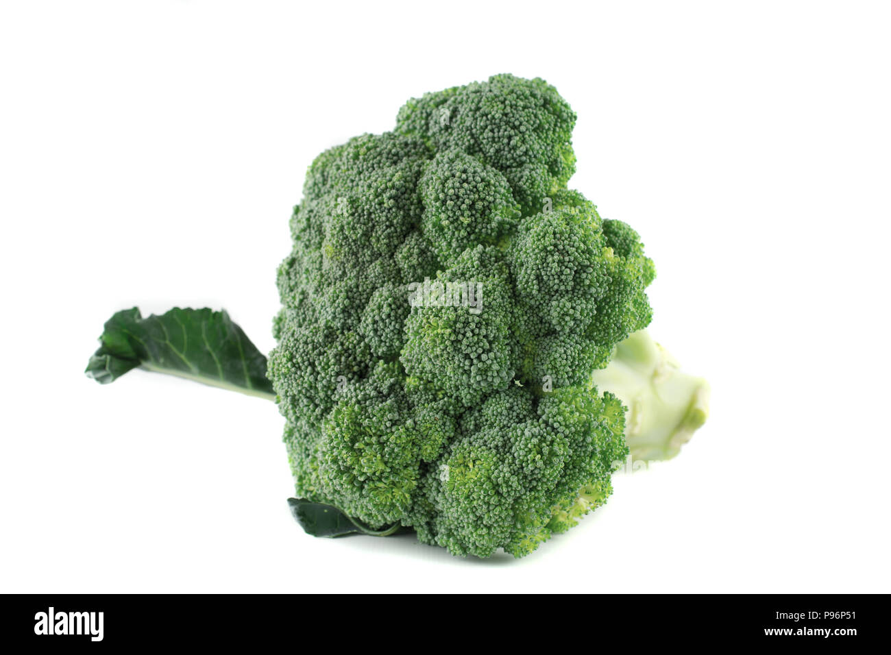 FRESH BROCCOLI TREE ISOLATED AGAINST WHITE BACKGROUND Stock Photo - Alamy