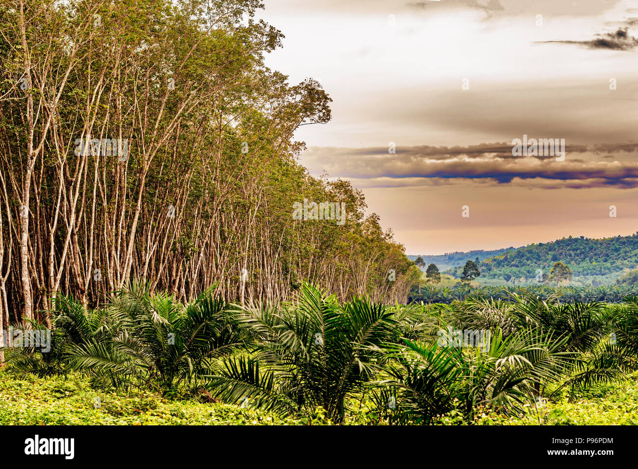 Rural southern landscape hi-res stock photography and images - Alamy