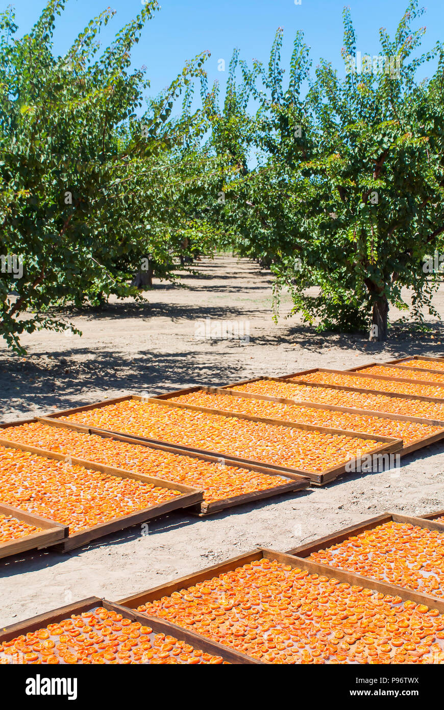 Orange racks hi-res stock photography and images - Alamy