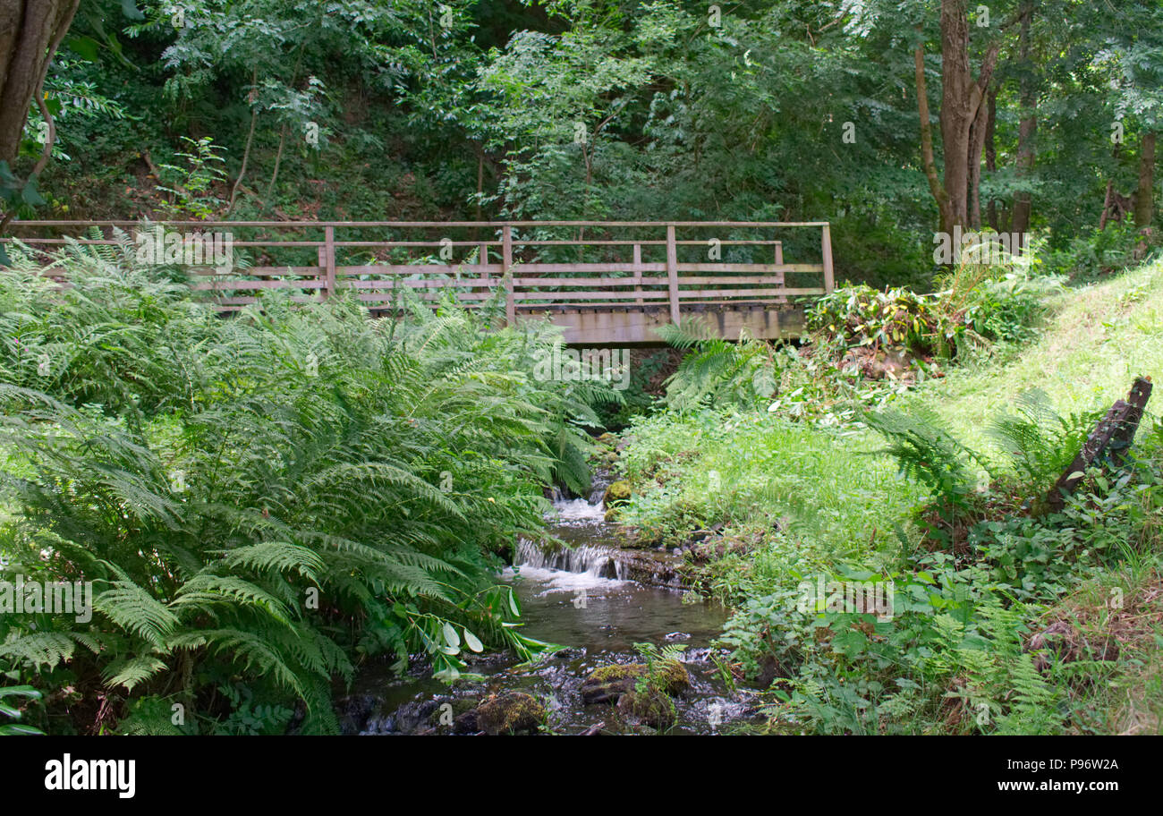 Canonteign Falls and Lakes, Teign Valley, Devon England UK Stock Photo ...