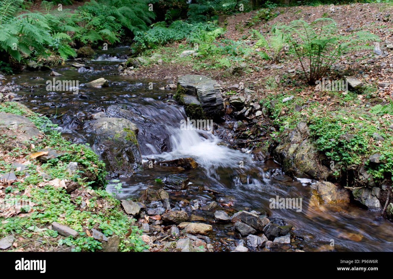 Canonteign Falls and Lakes, Teign Valley, Devon England UK Stock Photo ...