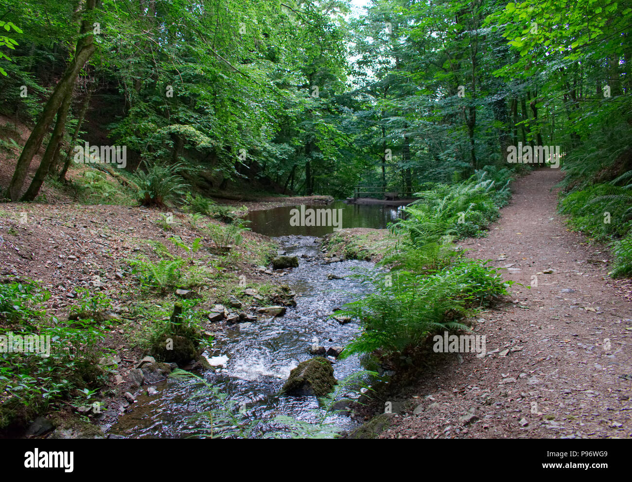 Canonteign Falls and Lakes, Teign Valley, Devon England UK Stock Photo ...