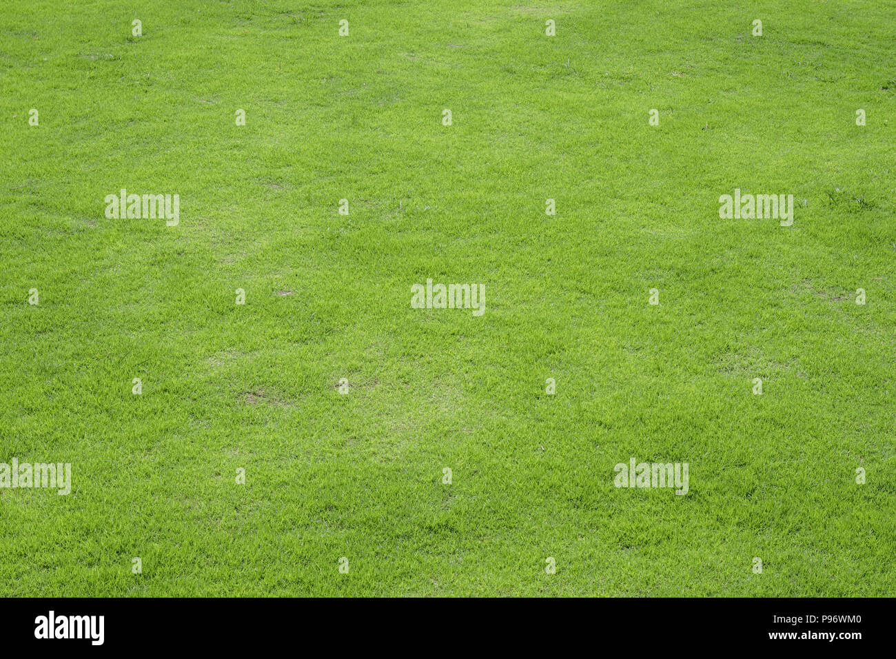 abstract background green grass texture Stock Photo - Alamy