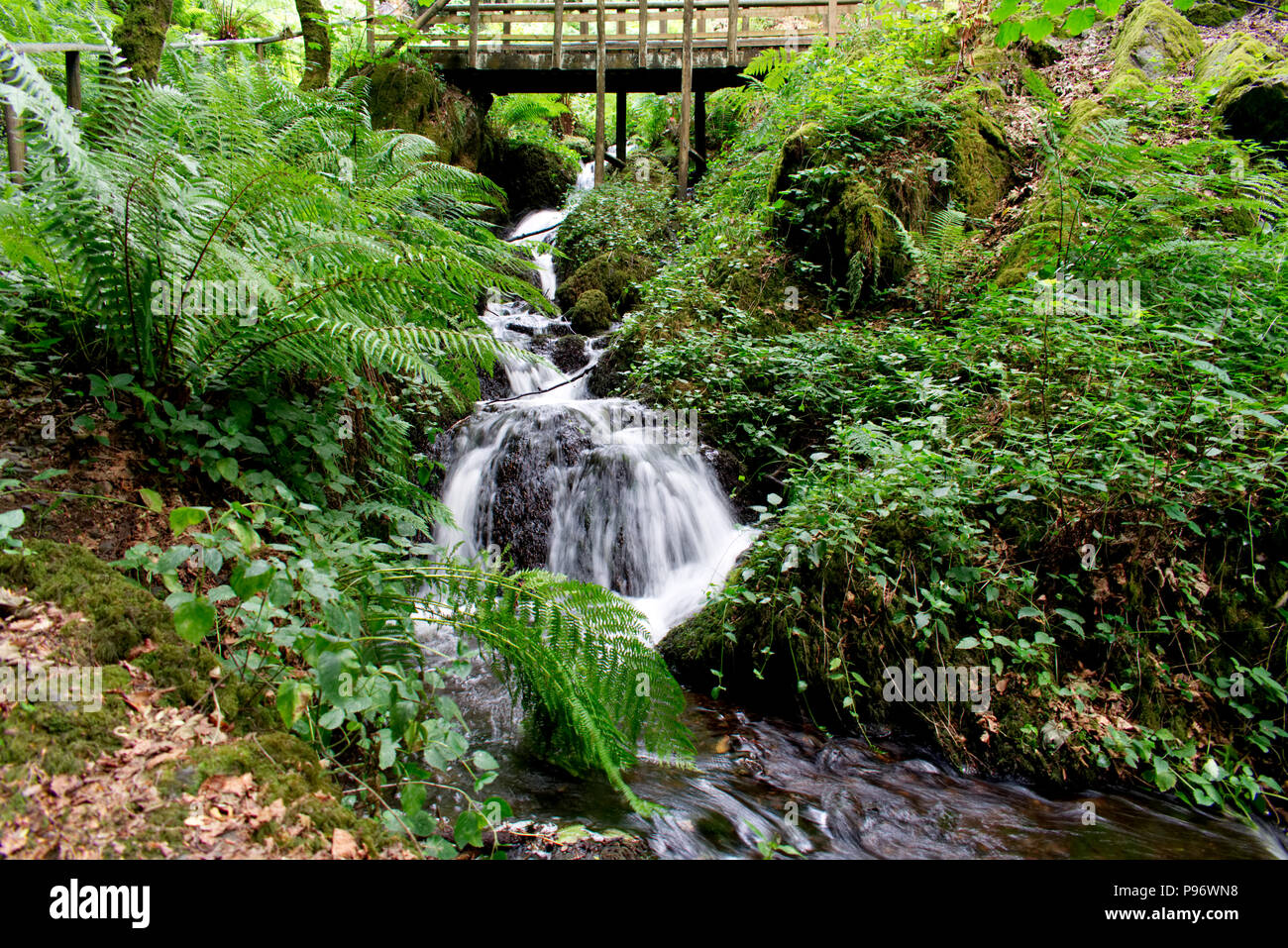 Canonteign Falls and Lakes, Teign Valley, Devon England UK Stock Photo ...