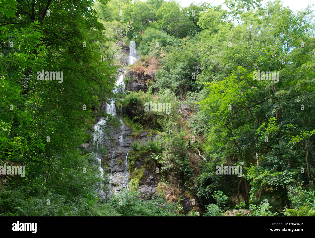 Canonteign Falls and Lakes, Teign Valley, Devon England UK Stock Photo ...