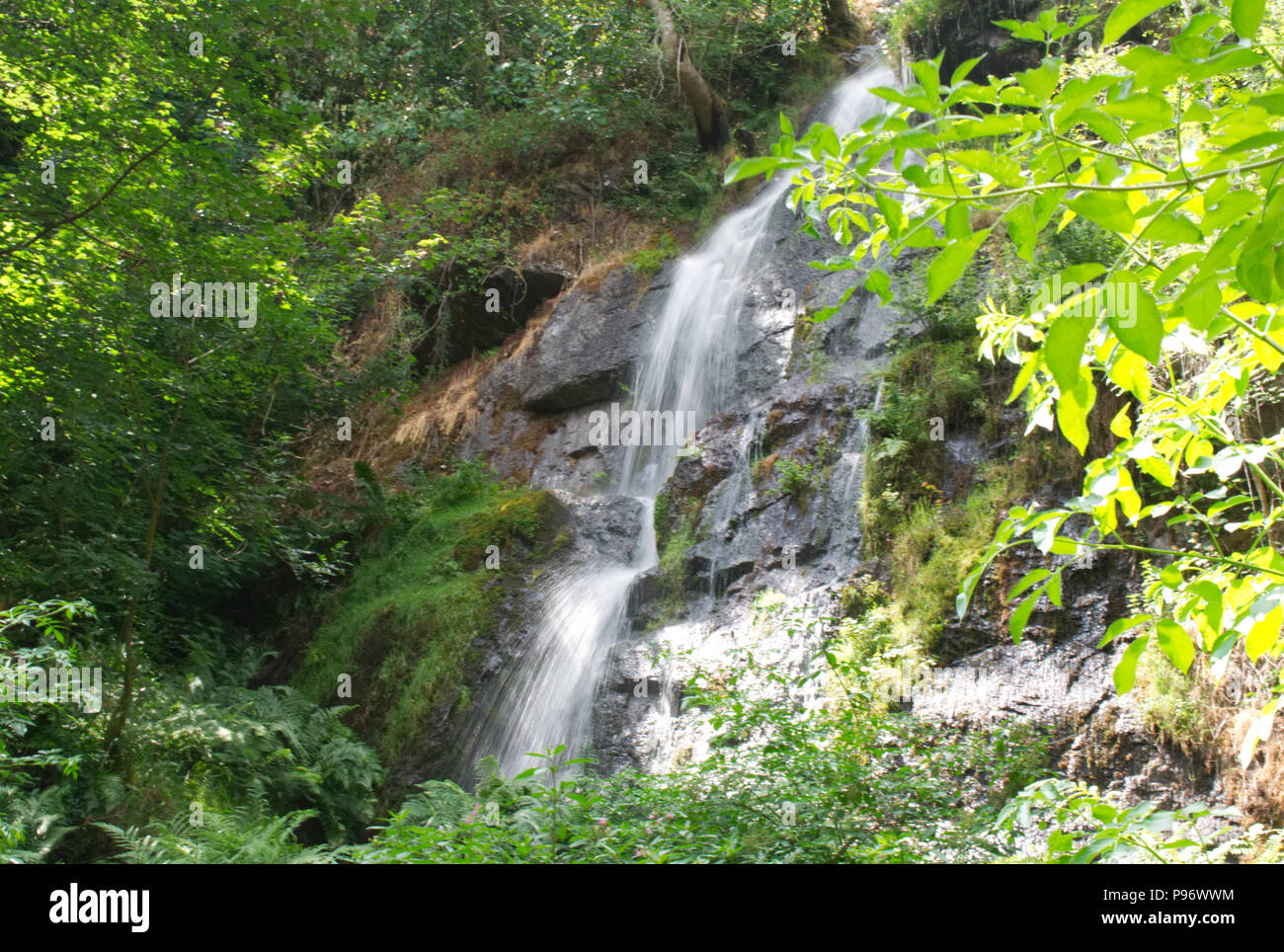 Canonteign Falls and Lakes, Teign Valley, Devon England UK Stock Photo ...