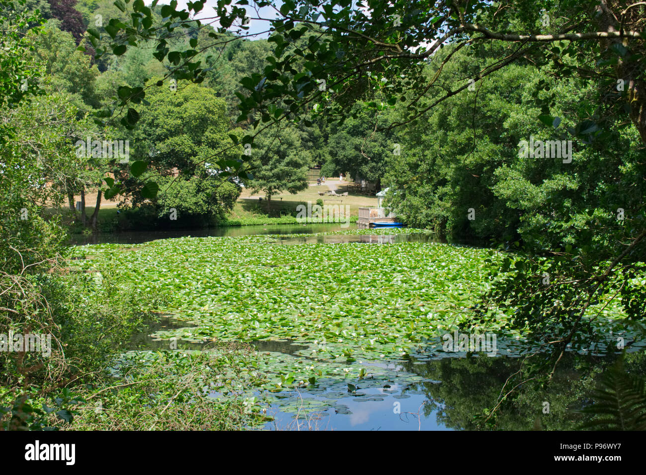 Canonteign Falls and Lakes, Teign Valley, Devon England UK Stock Photo ...