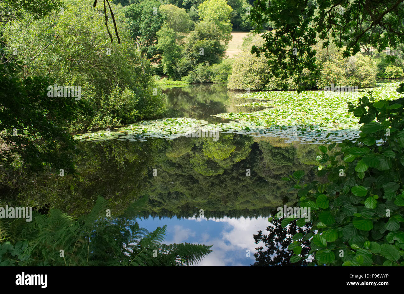 Canonteign Falls and Lakes, Teign Valley, Devon England UK Stock Photo ...