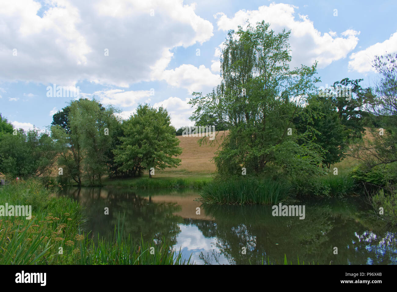 Canonteign Falls and Lakes, Teign Valley, Devon England UK Stock Photo ...
