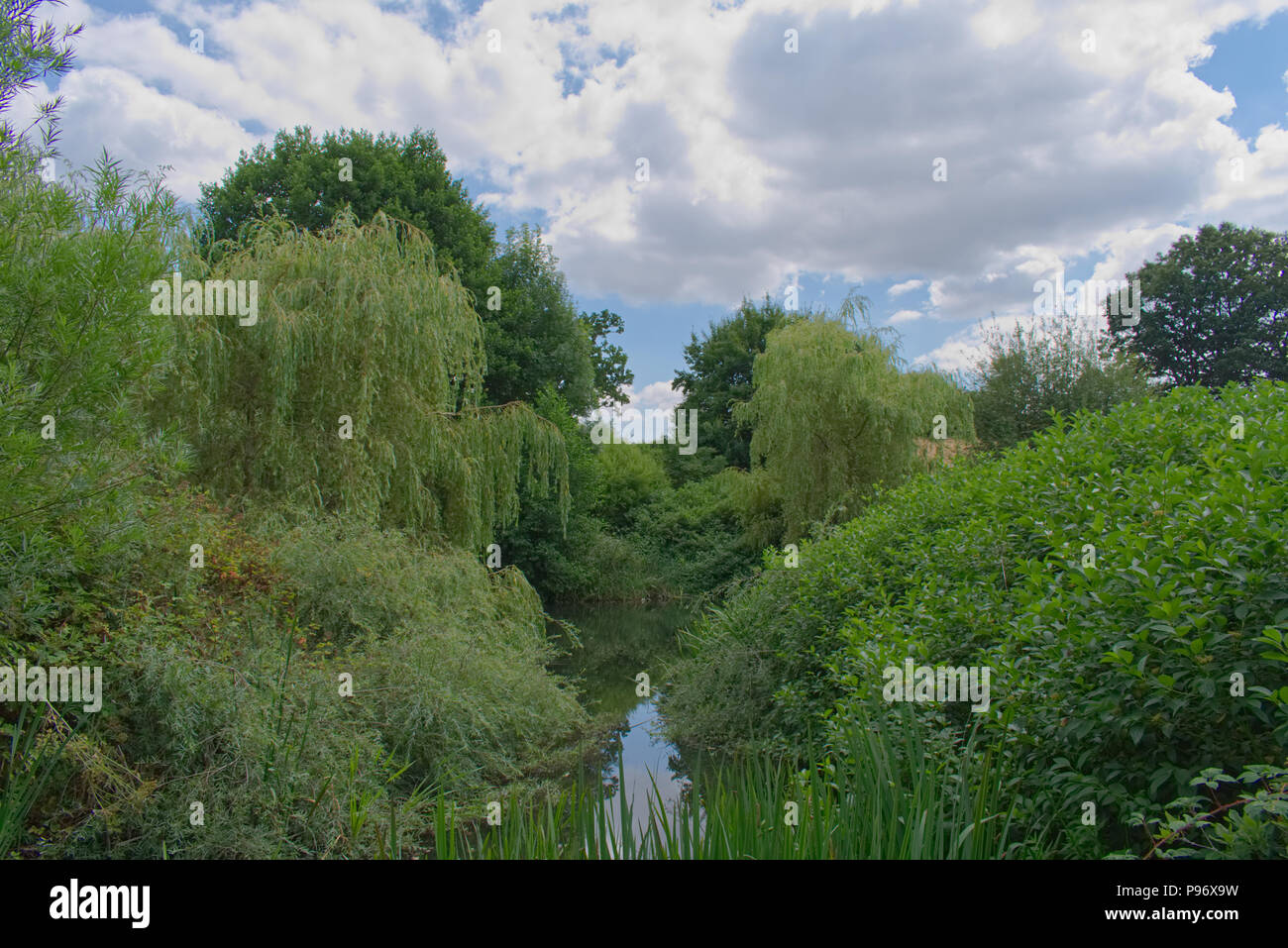 Canonteign Falls and Lakes, Teign Valley, Devon England UK Stock Photo ...