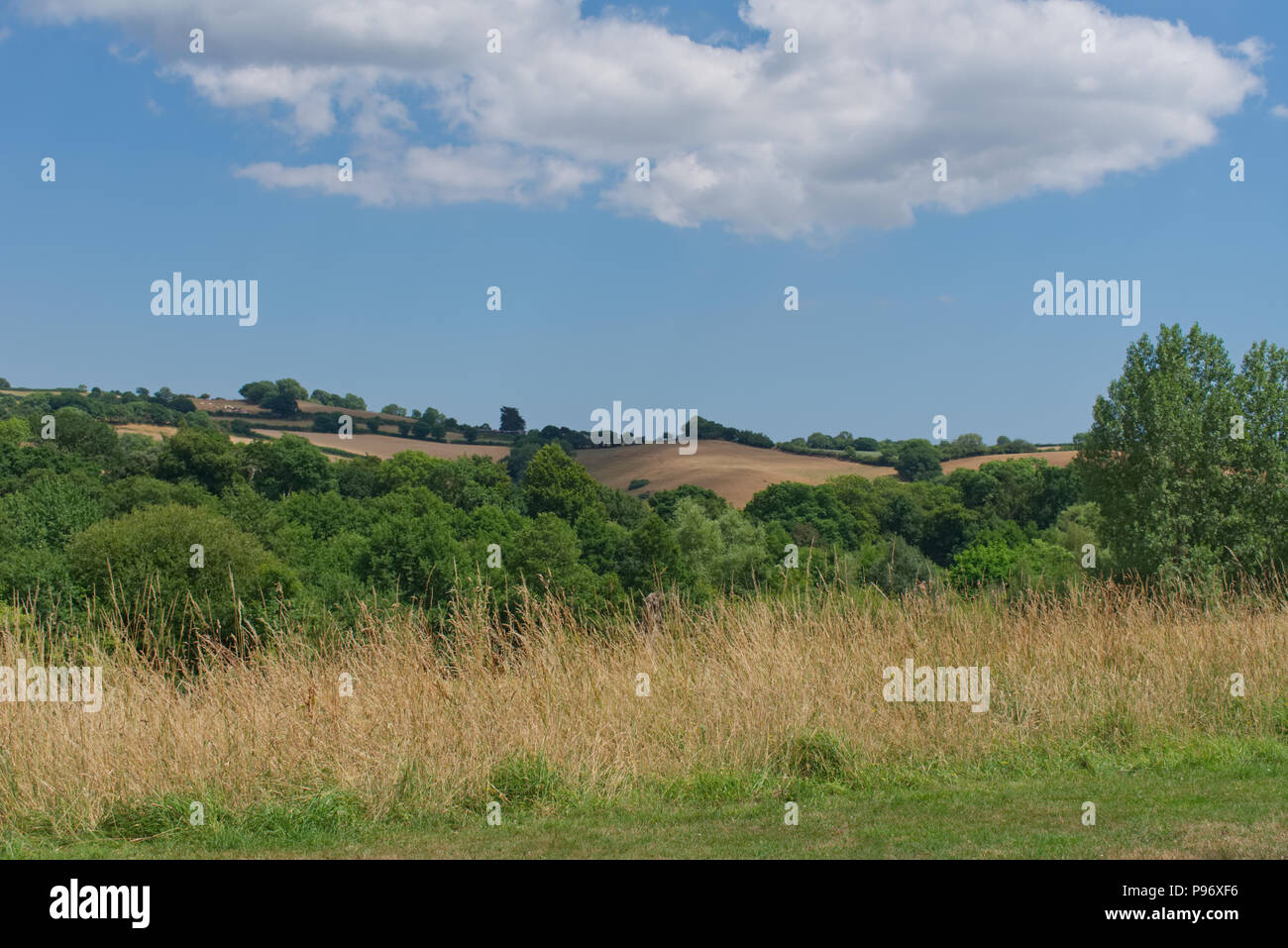 Canonteign Falls and Lakes, Teign Valley, Devon England UK Stock Photo ...