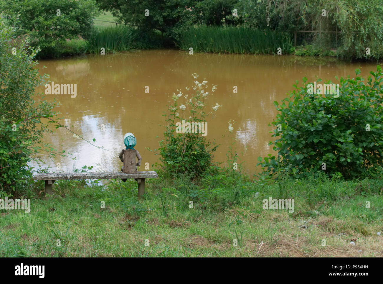 Canonteign Falls and Lakes, Teign Valley, Devon England UK Stock Photo ...