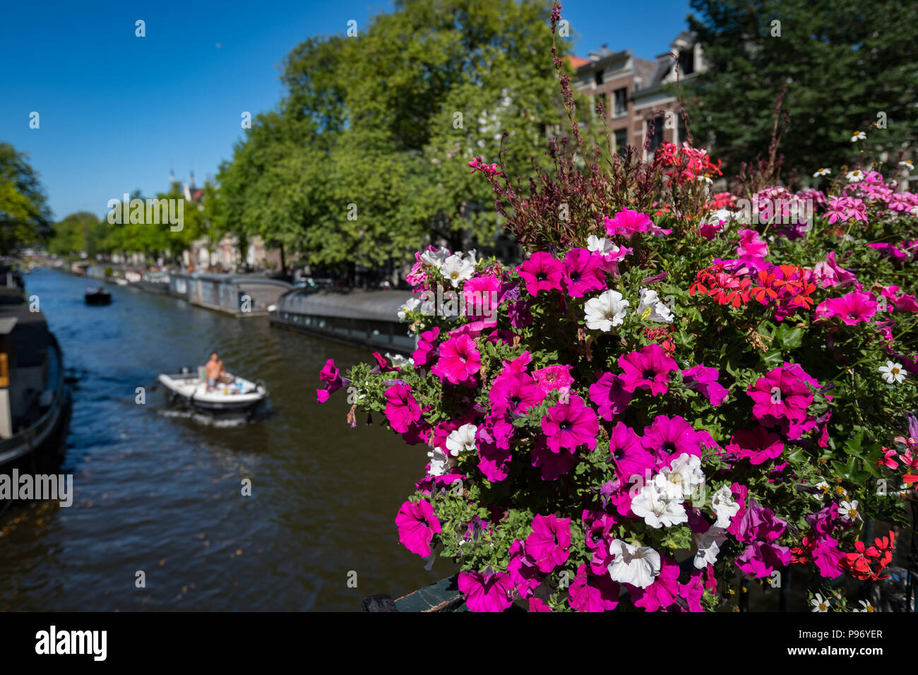 Summer on the Amsterdam canals, Netherlands Stock Photo - Alamy