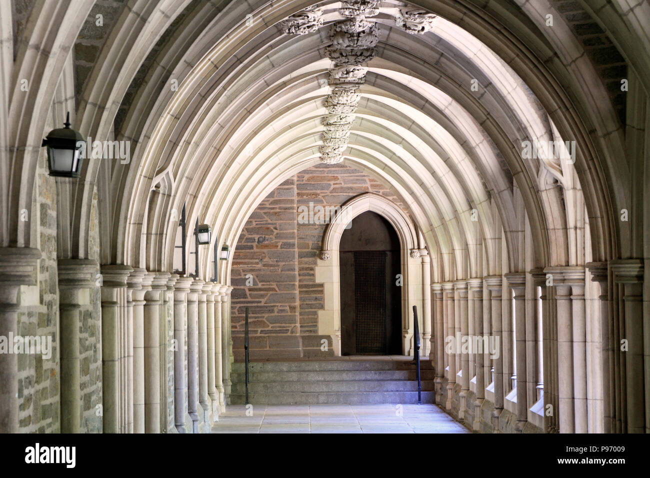 Vaulted arches, Princeton University, Princeton, New Jersey, USA Stock ...