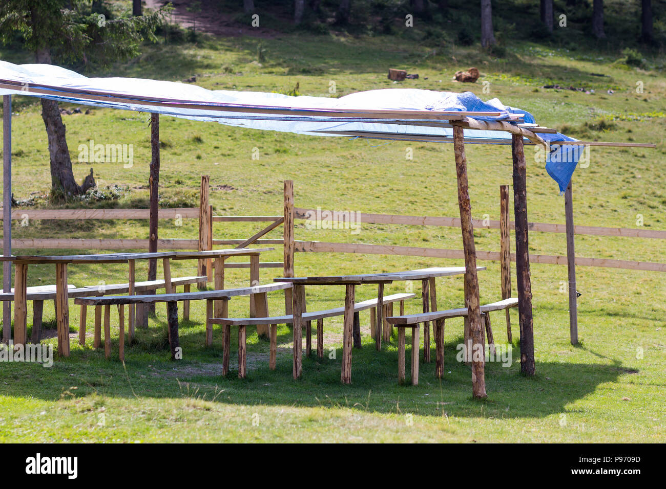 Picnic place for rest on green grass. Lit by bright summer sun old ...