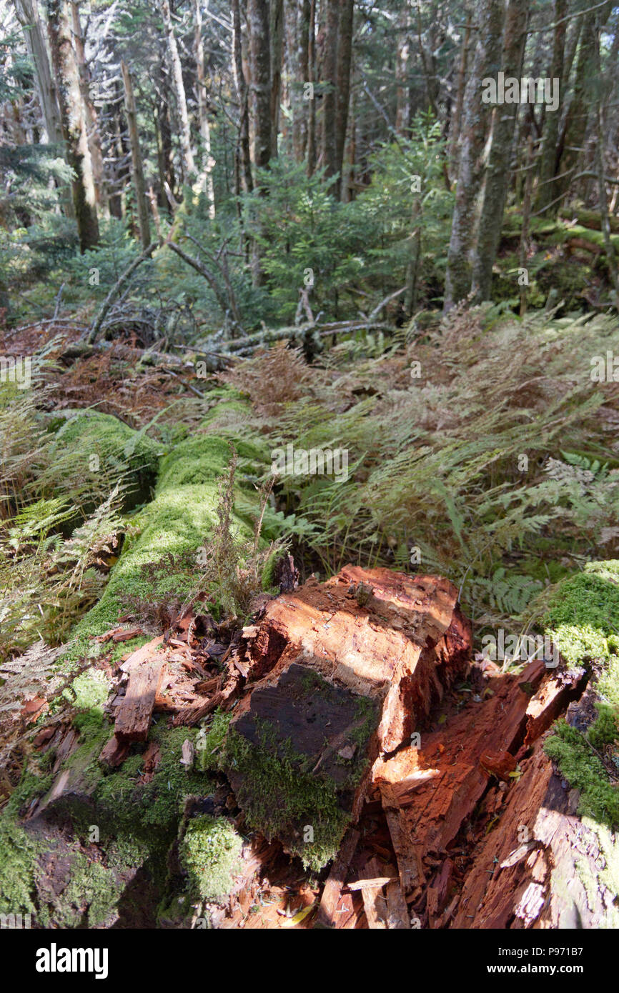 High elevation mountain hi-res stock photography and images - Alamy